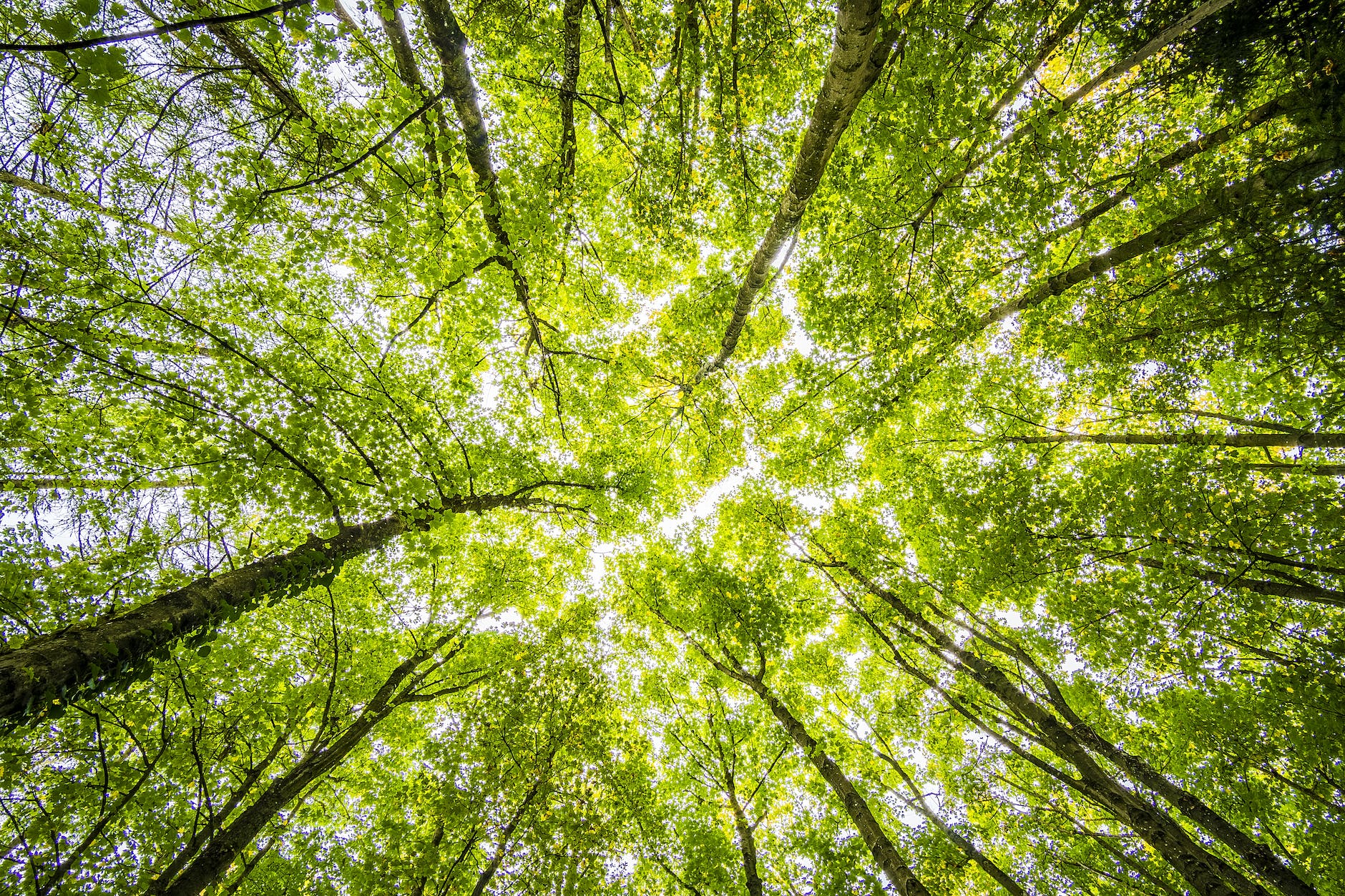 The Importance Of Sustainable Packaging For Brands Why Your Business The Importance Of Sustainable Packaging For Brands Why Your Business